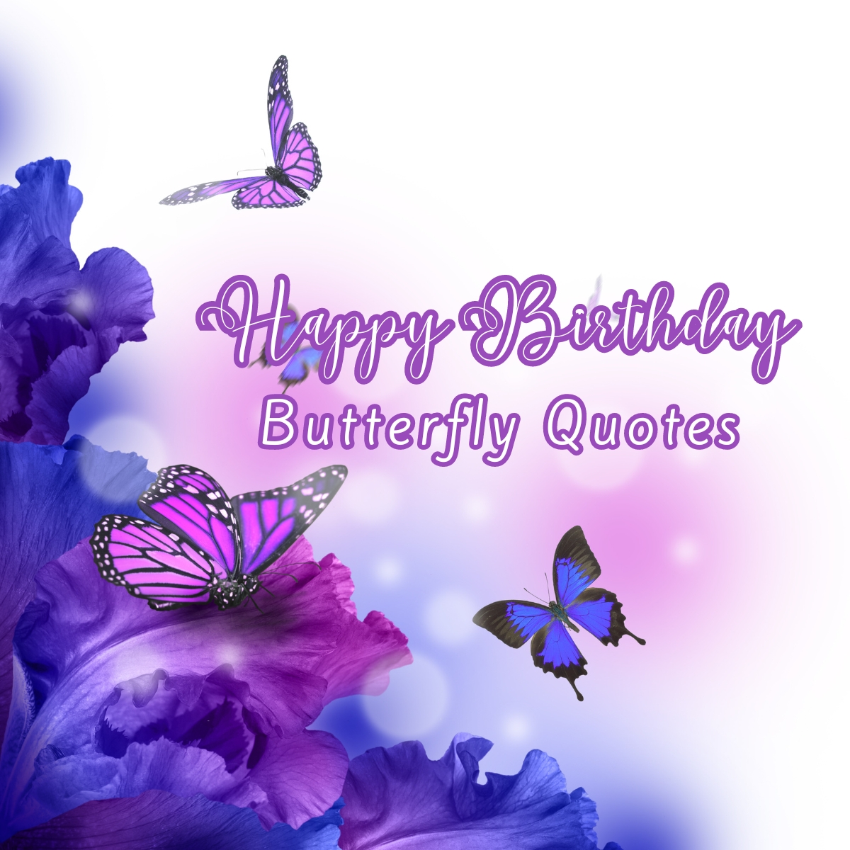 Happy Birthday Butterfly Quotes - Delilah's Party Ideas