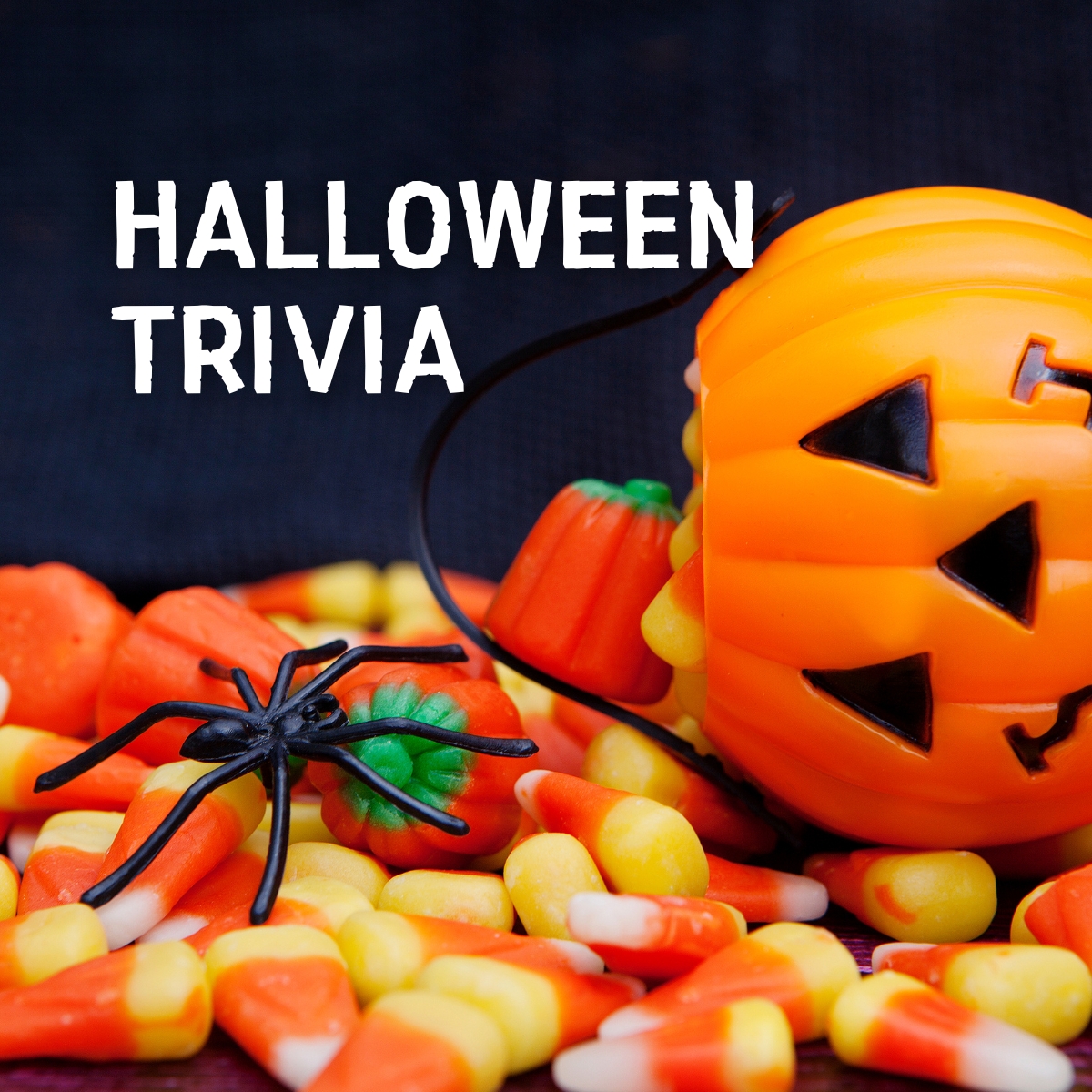 Halloween Trivia - Delilah's Party Ideas