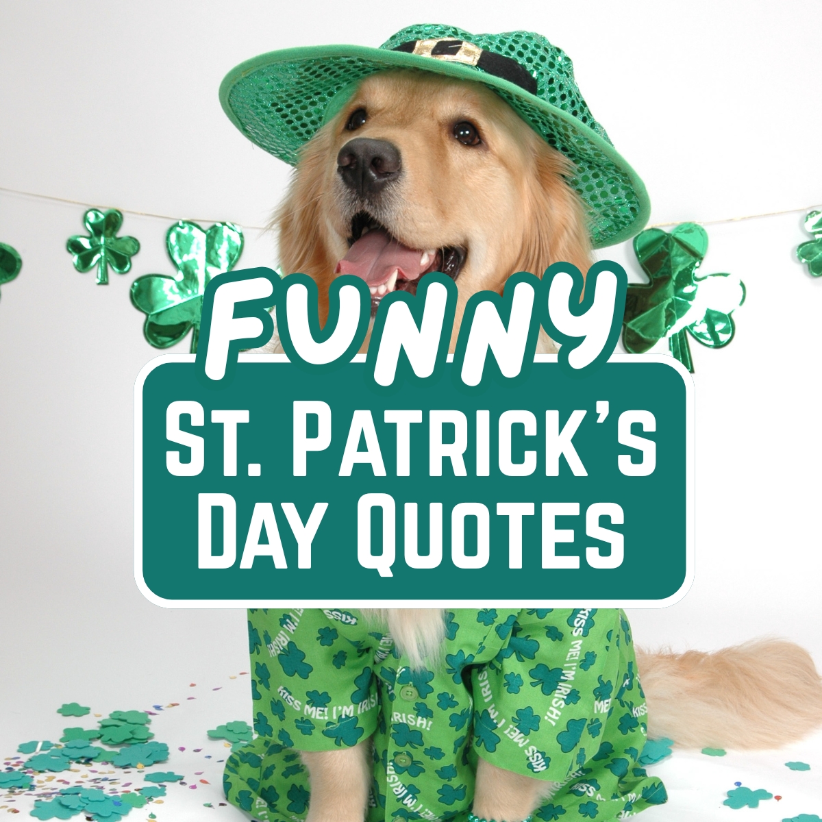 Funny St Patricks Day Quotes - Delilah's Party Ideas